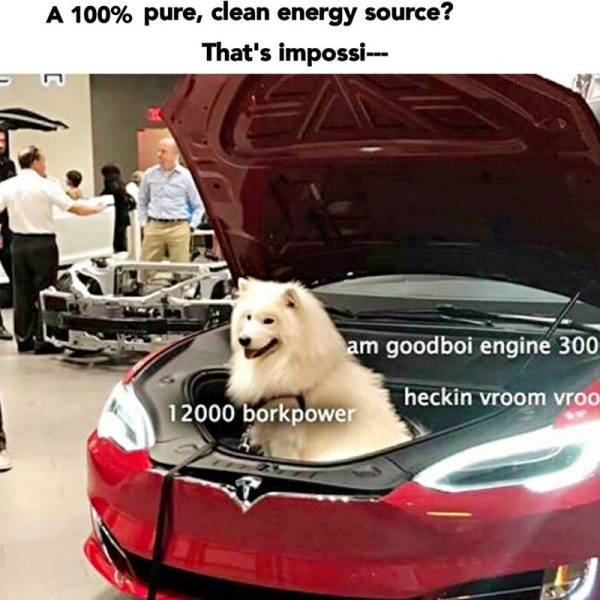 Đeo chó lên xe - Điều đáng yêu nhất mà bạn sẽ xem hôm nay! [Nhấn vào ...